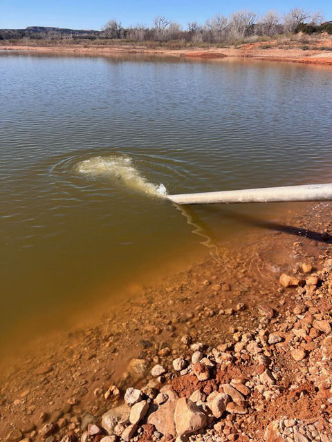 Lake Theo stocked with Rainbow Trout | Caprock Courier